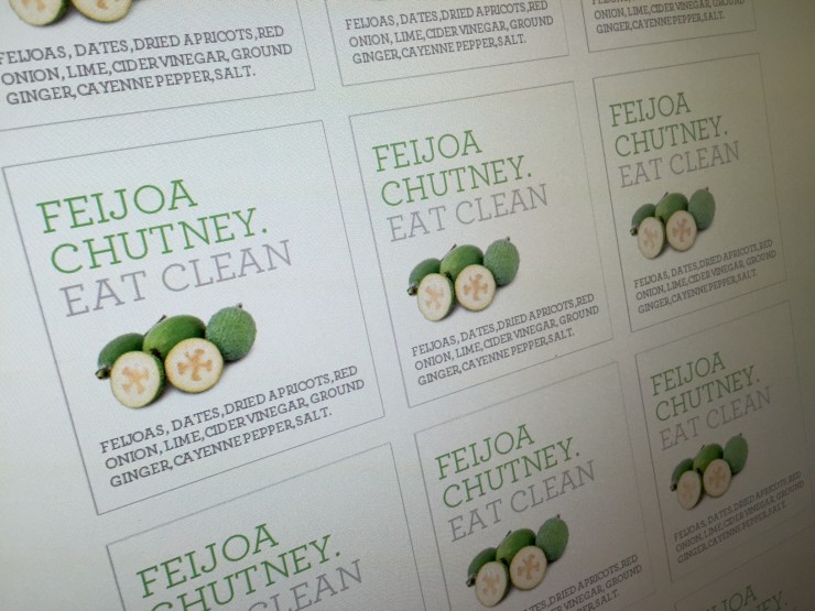 Feijoa Chutney | Cave Girl New Zealand — Paleo Recipes New Zealand